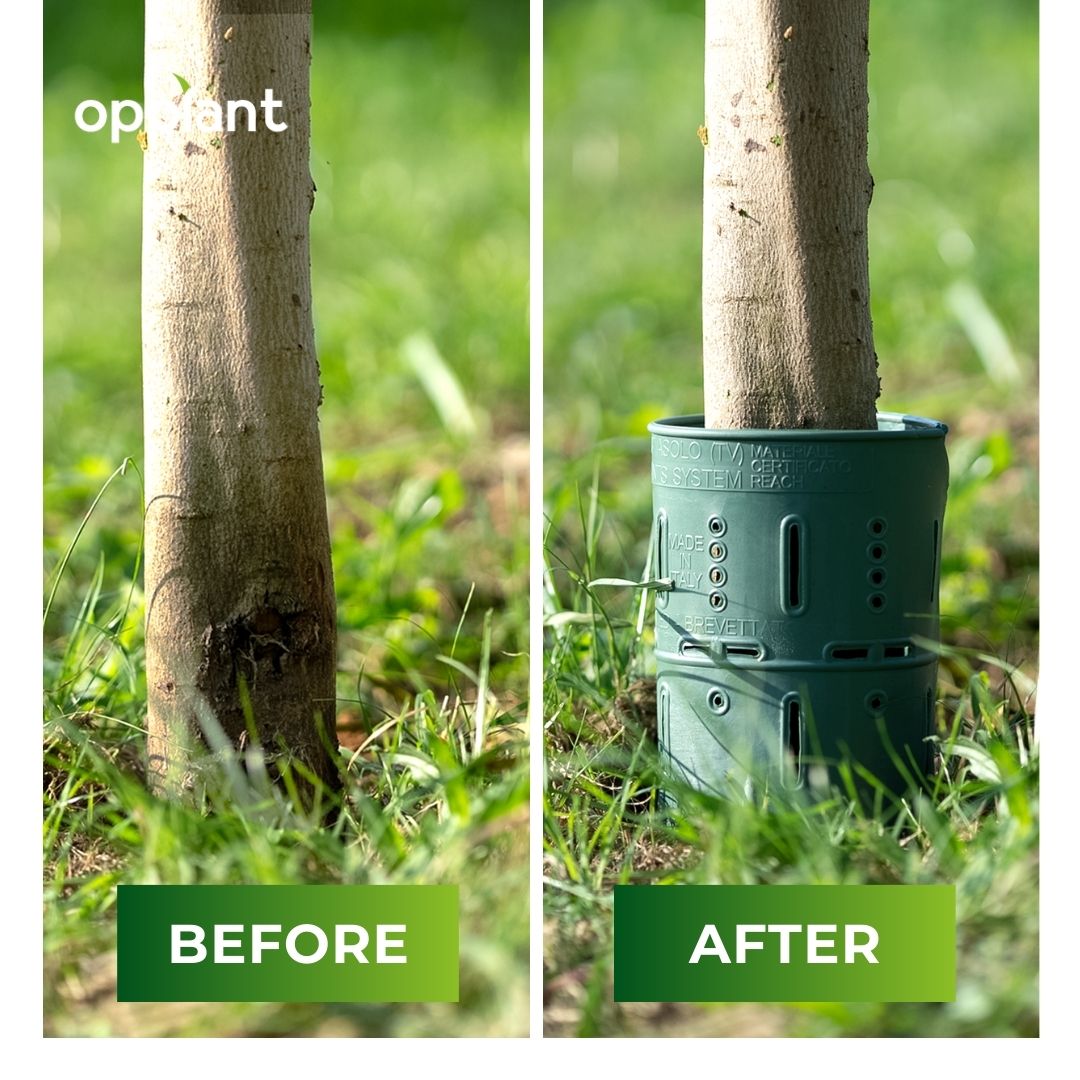 Plant Protection System – Opplant